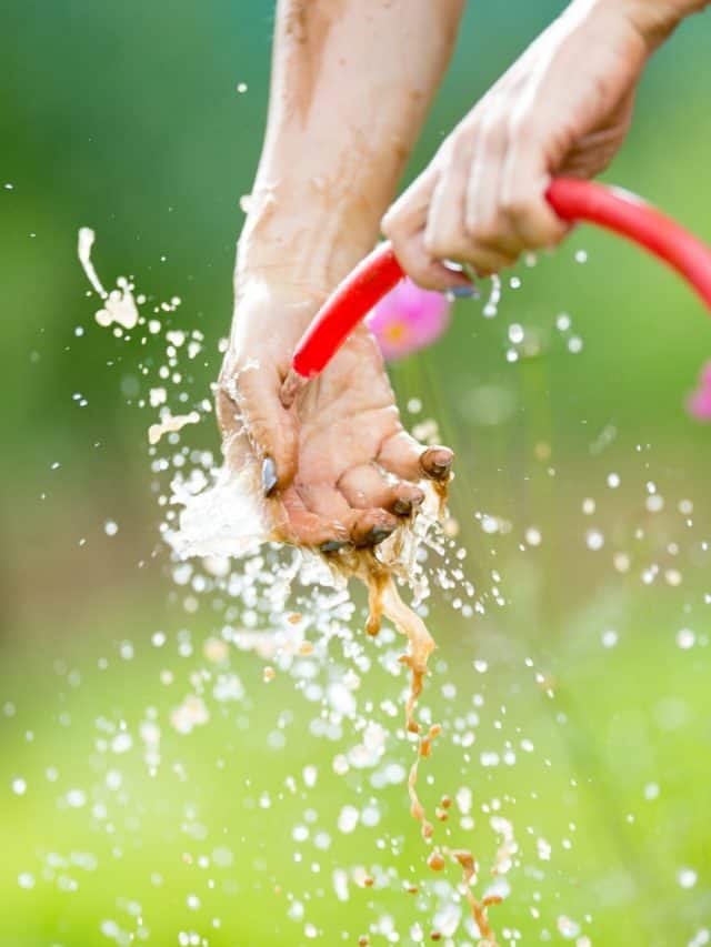 Best exercise: 10 amazing health benefits of gardening