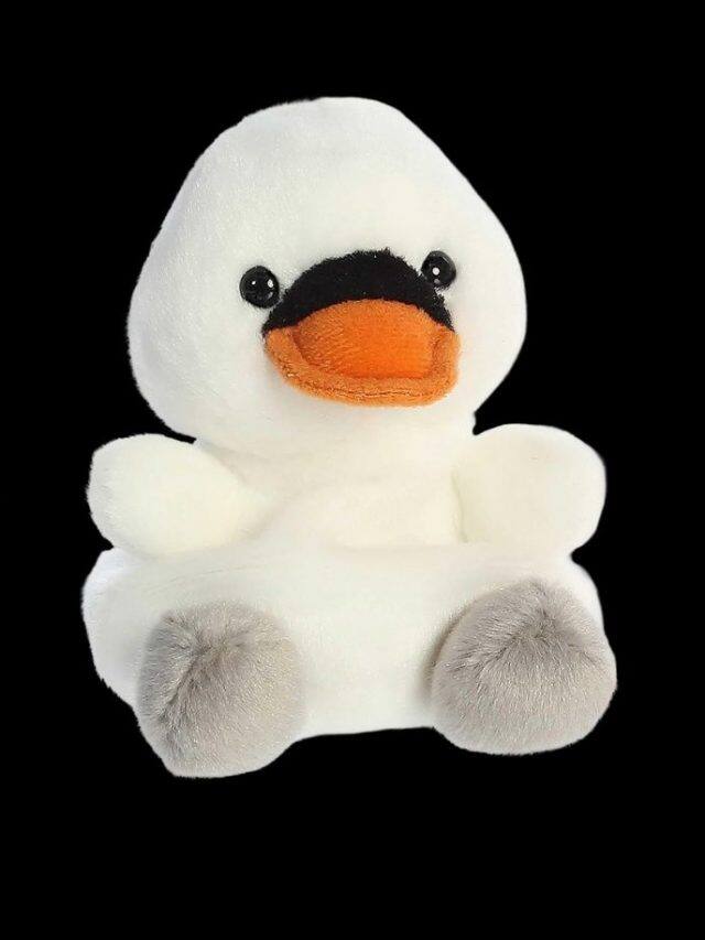 Swan plush 'Joy' joins India's Shukla on Axiom-4 ISS mission