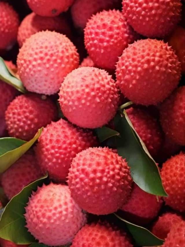 Love Lychees? From sorbet to salad, 10 delicious ways to enjoy the fruit