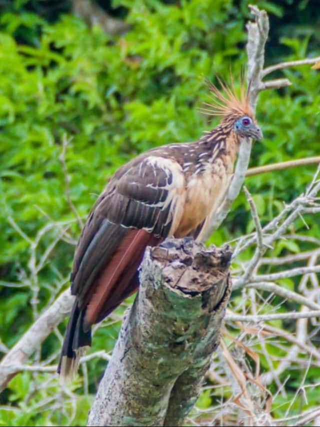 10 Smelliest Things in the World