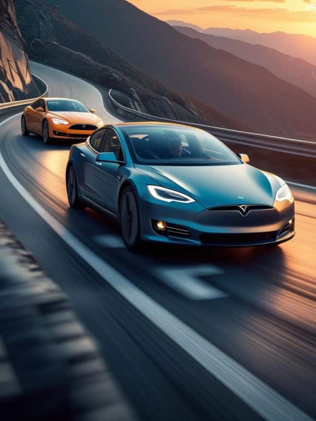 Rare albino animals spotted worldwide reveal genetic wonders