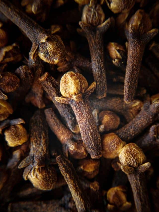 بھگوڑے میہول چوکسی کوبڑا جھٹکا، بھارت لانے کا راستہ صاف – News18 اردو