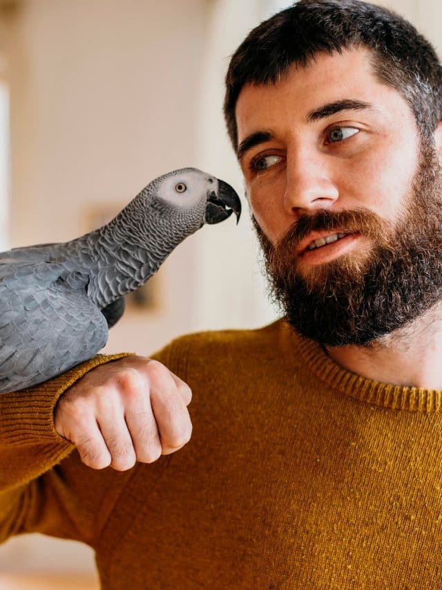 Top 10 animals with the strongest sense of smell