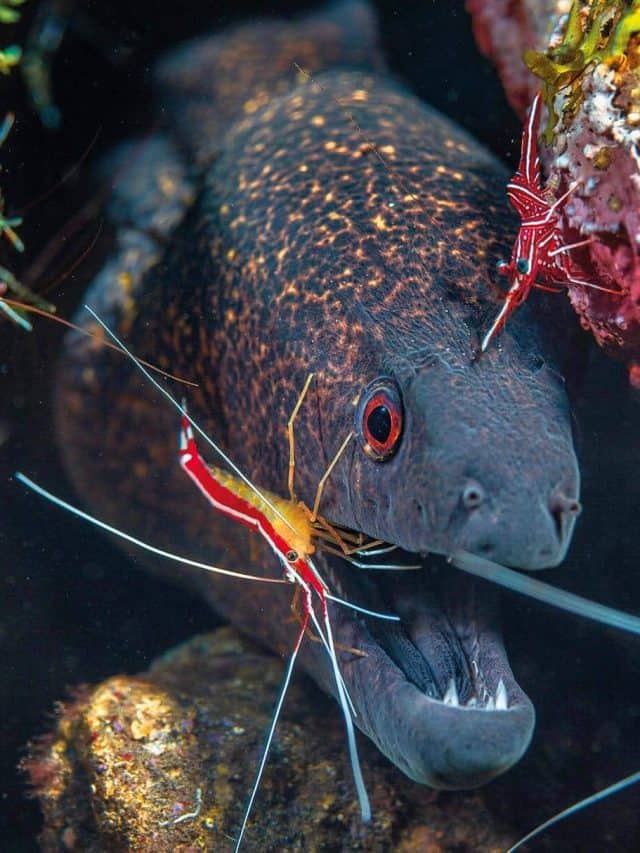 Top 10 countries where you can spot the aurora